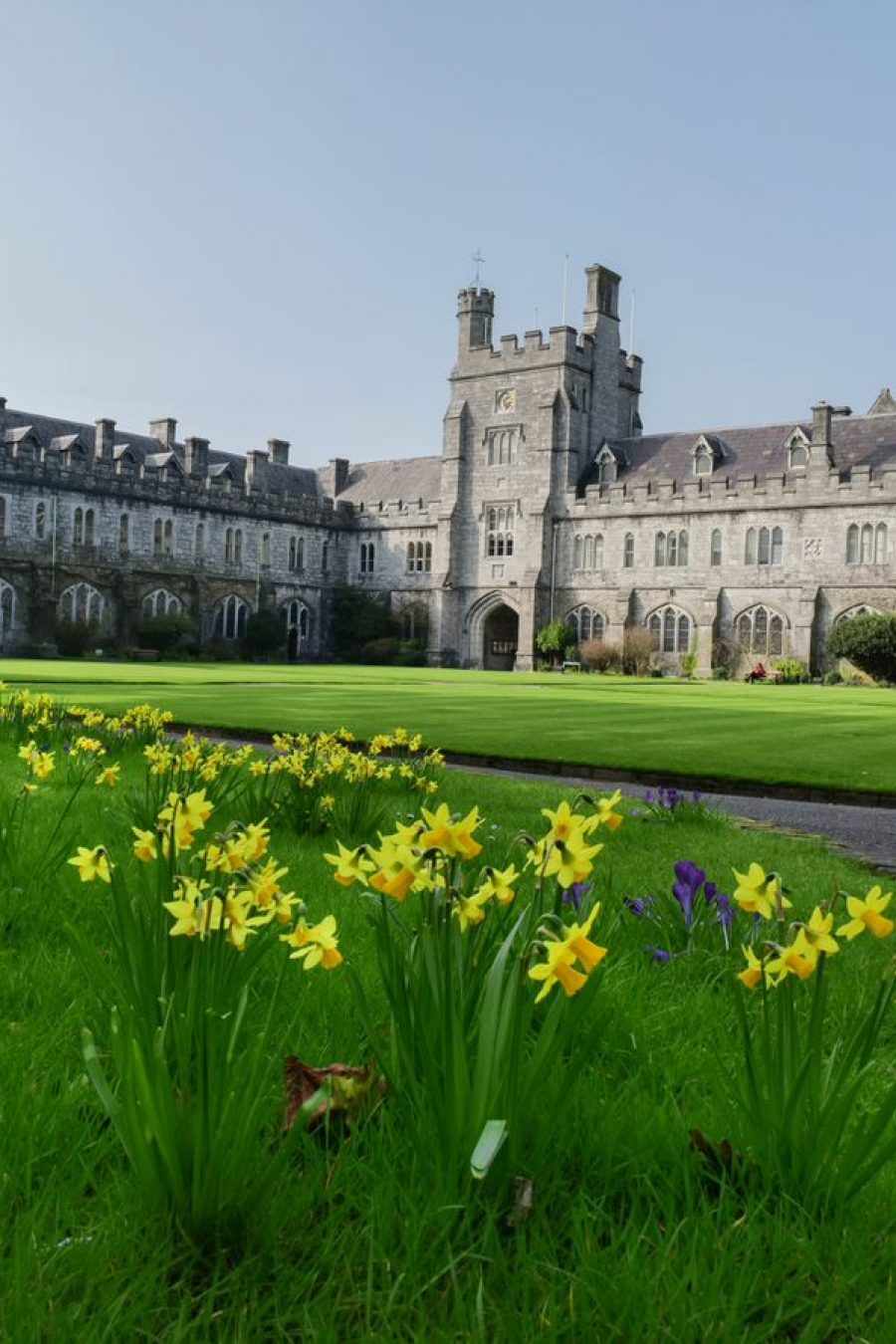 Study Abroad Programs - School of EngineeringSchool of Engineering ...