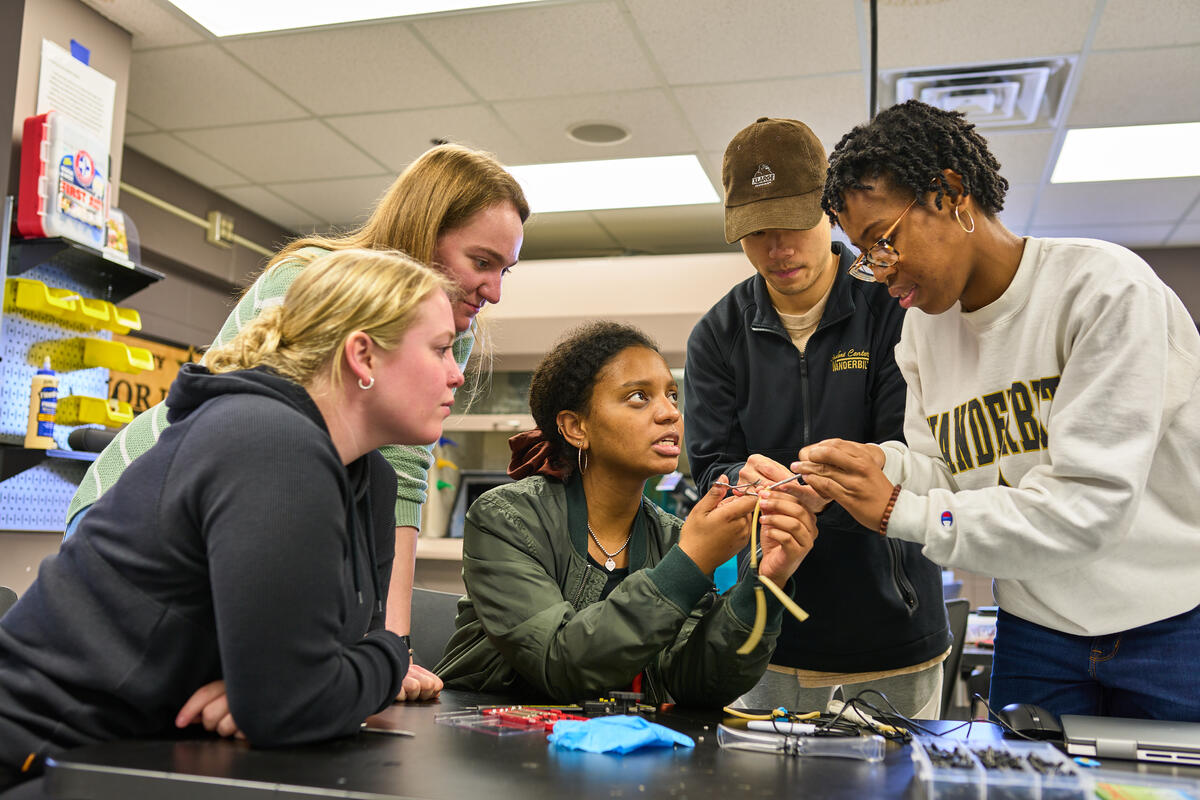 Undergraduate Program in Biomedical Engineering - School of ...